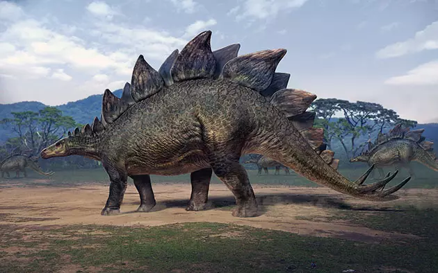 Stegosaurus - pikicha, tsananguro, kuona, huwandu, chikafu, vavengi