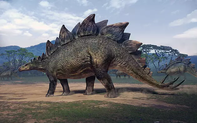 Stegosaurus (Latin Stegosaurus)