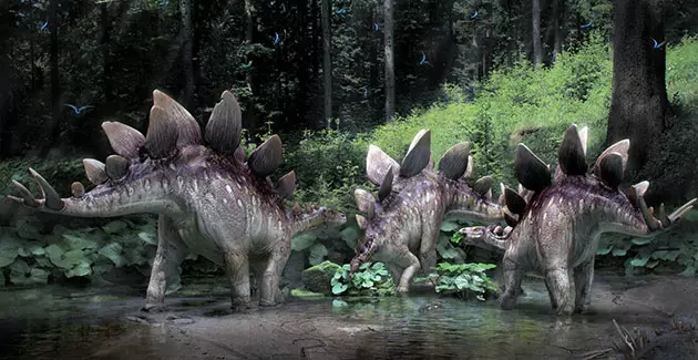 Stegosaurs inowanzoonekwa seyemhuka dzemombe
