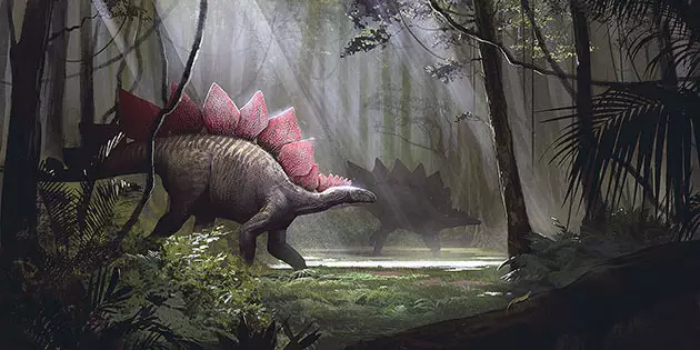 Stegosaurus - pikicha, tsananguro, kuona, huwandu, chikafu, vavengi 413_4