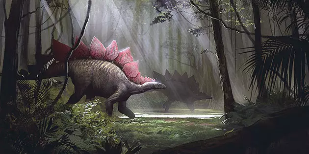 Stegosaurus - foto, përshkrim, zbulim, diapazon, dietë, armiq 413_4