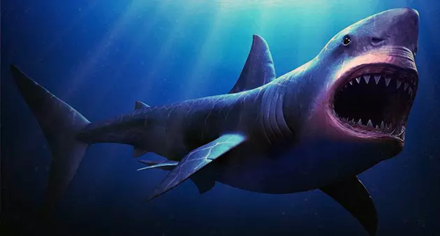 Esemokwu gbasara ma Megalodon dị ndụ ma ọ bụ na ọ belataghị ruo taa.