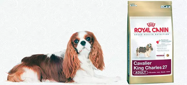 Je kunt de Cavalier King Charles Spaniel zowel kant-en-klaar voer als natuurlijk voer geven