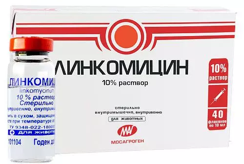 I-Lincomycin yeekati - imiyalelo yokusetyenziswa, idosi 1122_1