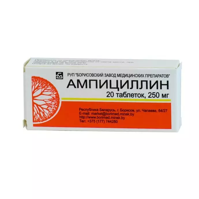 Ampicilline voor katten: gebruiksaanwijzing 1211_1