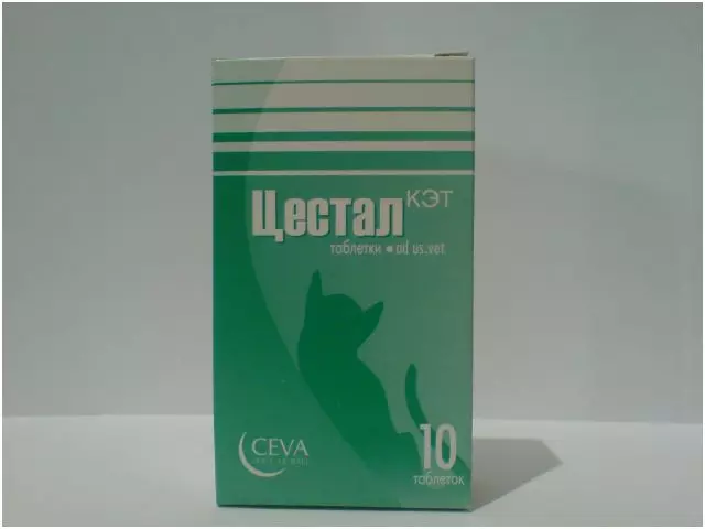 고양이용 Cetal - 약물 사용 지침