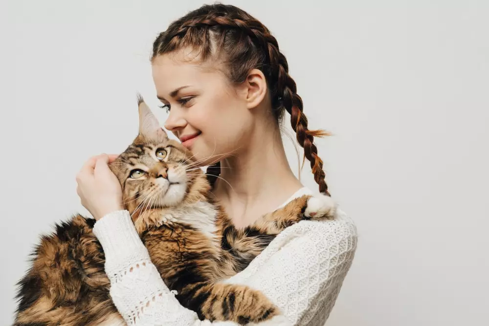 Hou katte van hul eienaars - tekens van liefde 1420_1