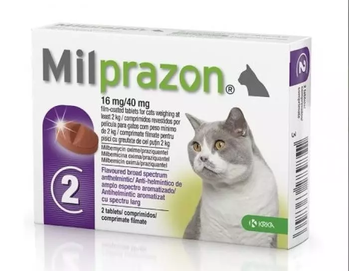 Tabletas para gusanos para gatos: una descripción general de las mejores drogas 147_4