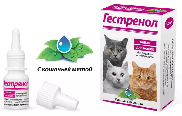 بلیوں کے لیے Gestrenol کے قطرے - دوا کے استعمال کے لیے ہدایات۔