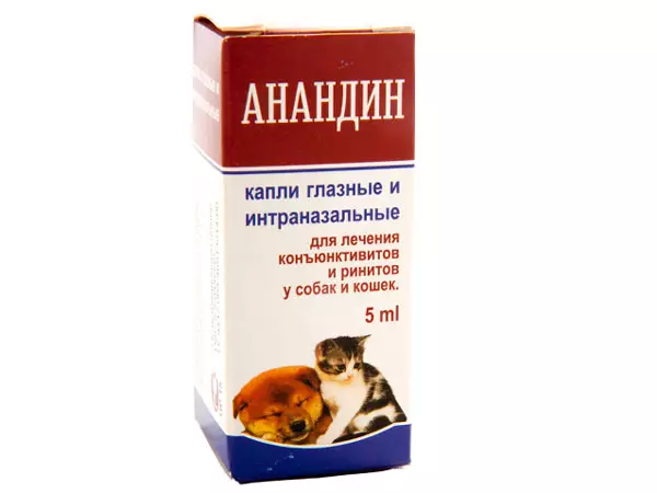 Anandin för katter - instruktioner för användning av läkemedlet
