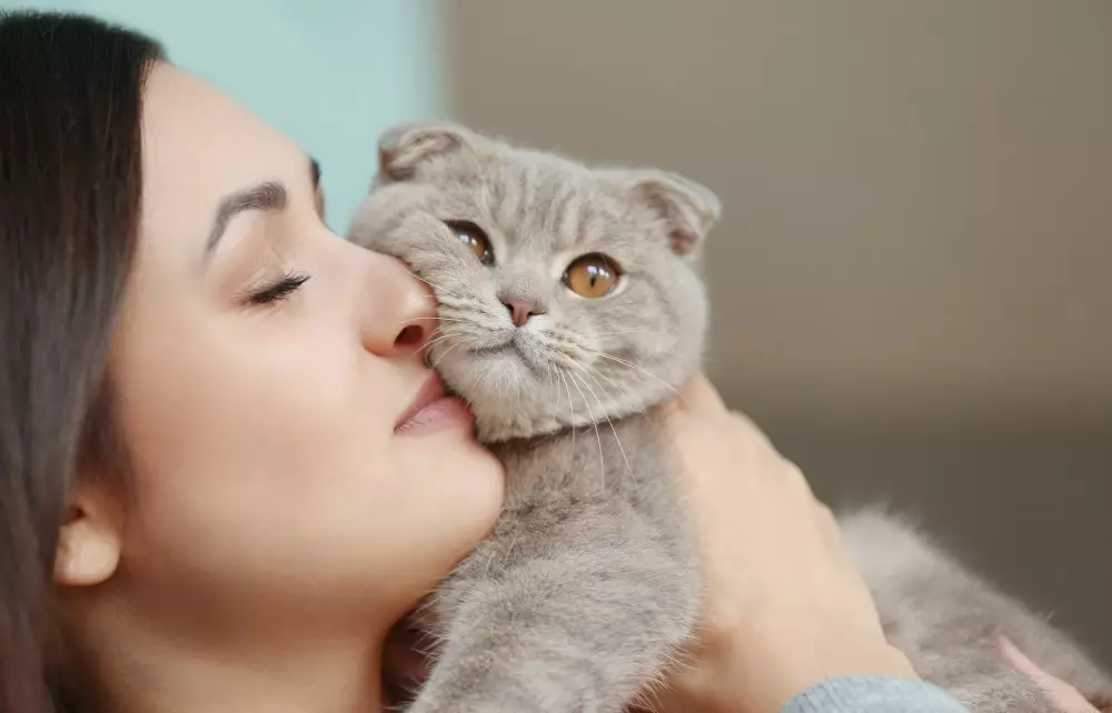 Com saber si un gat t'estima: 7 signes d'amor 1777_2