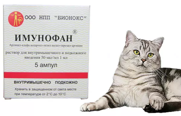 പൂച്ചകൾക്കുള്ള ഇമുനോഫാൻ - ഉപയോഗത്തിനുള്ള നിർദ്ദേശങ്ങൾ, അളവ് 2048_1