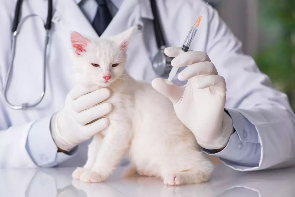 Vaksin Nobivac Triket Trio untuk kucing - arahan penggunaan 221_4