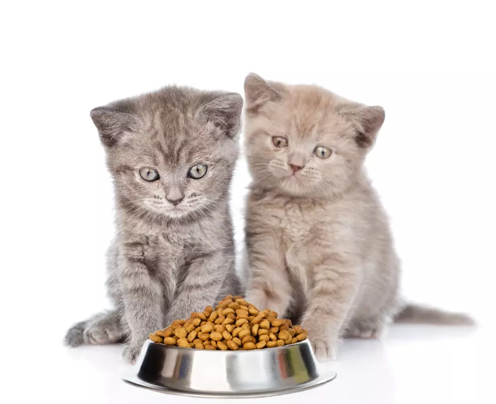 Τρόφιμα Pronatur για γάτες - περιγραφή, σύνθεση, τύποι, κριτικές 340_2