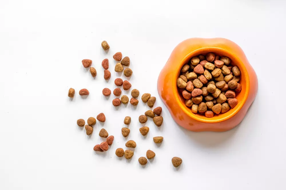 Je suché krmivo škodlivé pro kočky: 5 kladů a 3 nevýhody 43_2