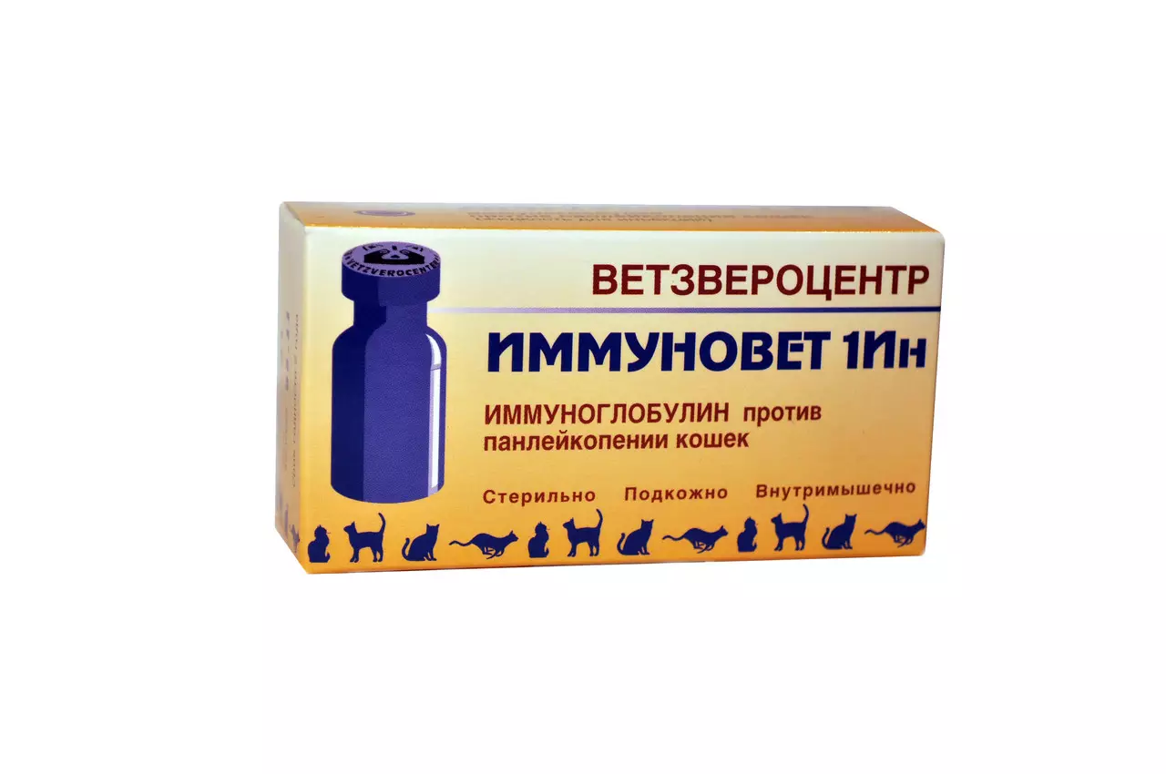 Immunoglobulin foar in kat: oft it mooglik is of net 466_1