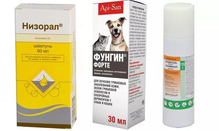 Läkemedel för behandling av svamp hos hundar