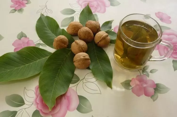 Decoction ny kennuts hanadiovana nify ho an'ny alika