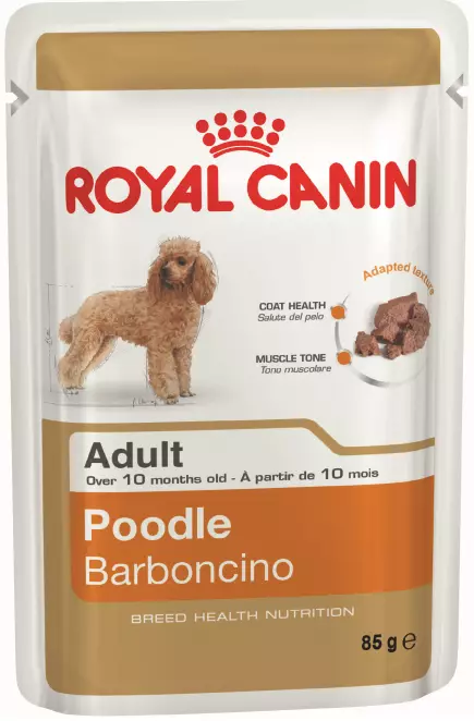 aratri per barboncini bagnati da royal canin