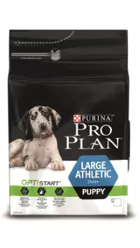 proplan cibo secco per cani