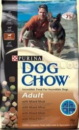 dog chow չոր շների համար