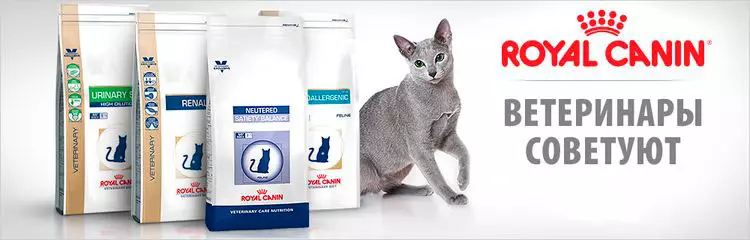 Royal canin impyiko