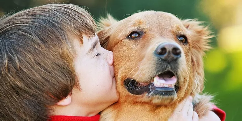 Welche Art von Hund sollte man für ein Kind in eine Wohnung bekommen | welche rasse soll man wählen