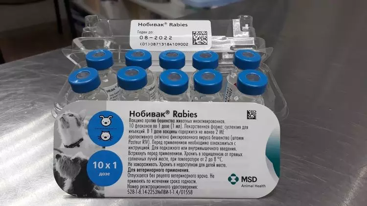 Nobivak Rabies