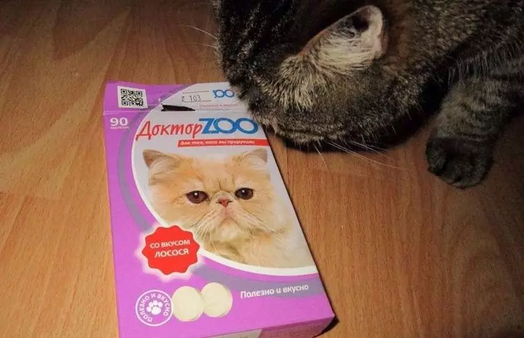 Ang pusa ay kumakain ng mga bitamina Doctor Zoo