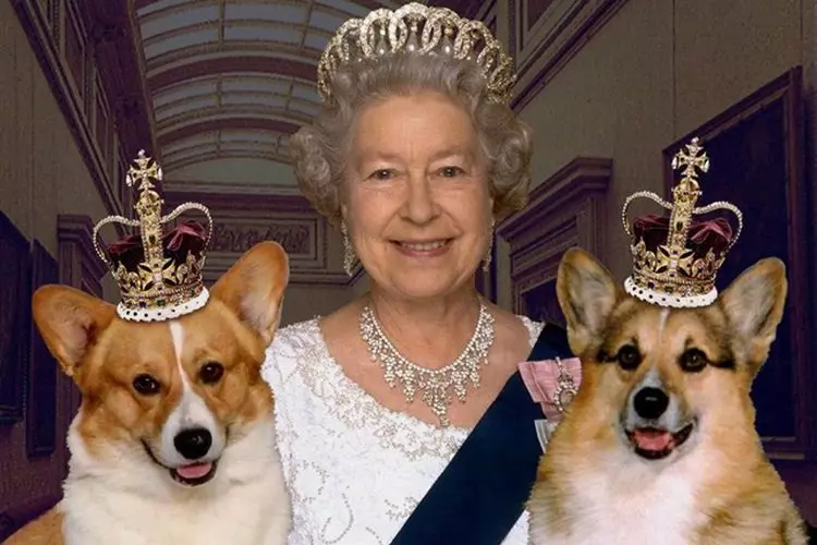 Englannin kuningatar ja hänen koiransa