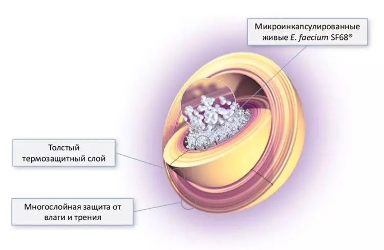 Фортифлора гранула