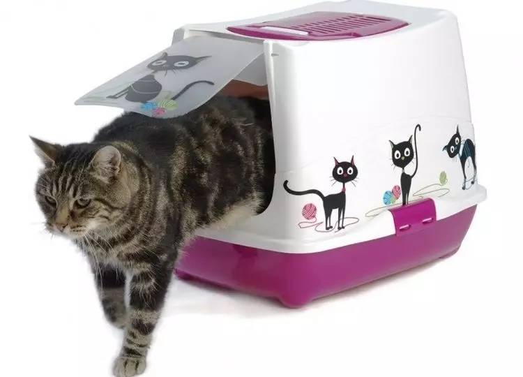 Мачка у кутији за смеће