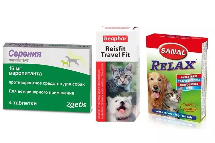 Medicamente pentru boli de mișcare pentru câini