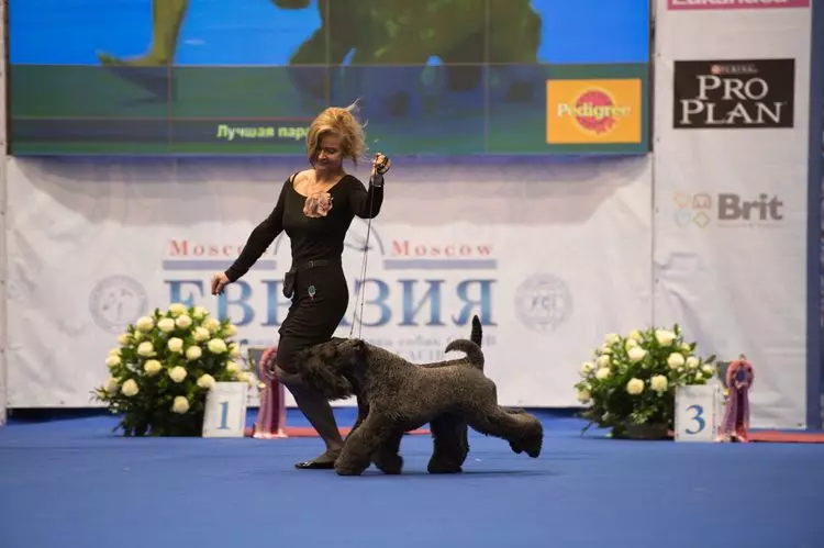 World Dog Show