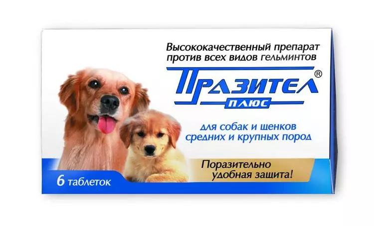 Prazitel para cans: instrucións e indicacións de uso, comentarios, prezo