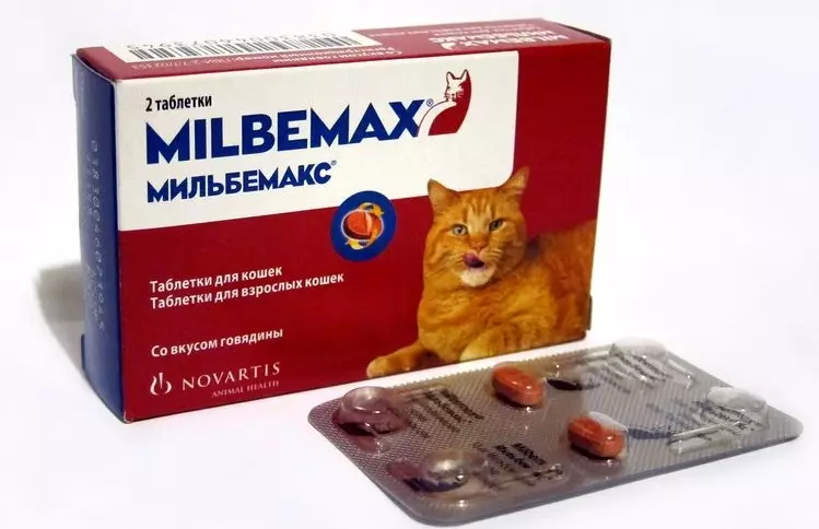 بلیوں کے لیے Milbemax: استعمال کے لیے ہدایات ، قیمت ، جائزے۔