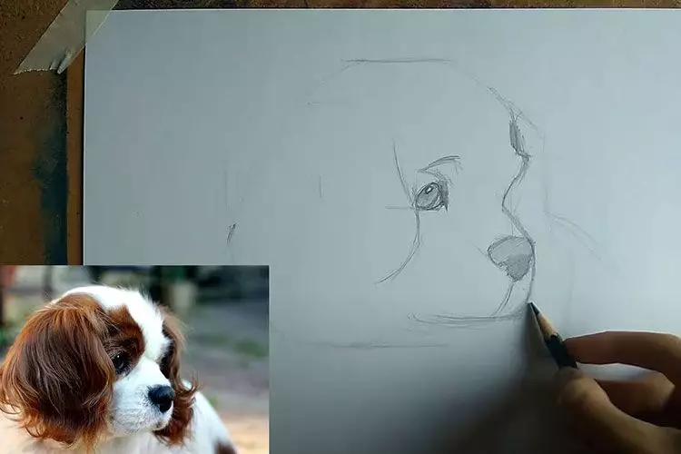 Ръчно рисувано куче