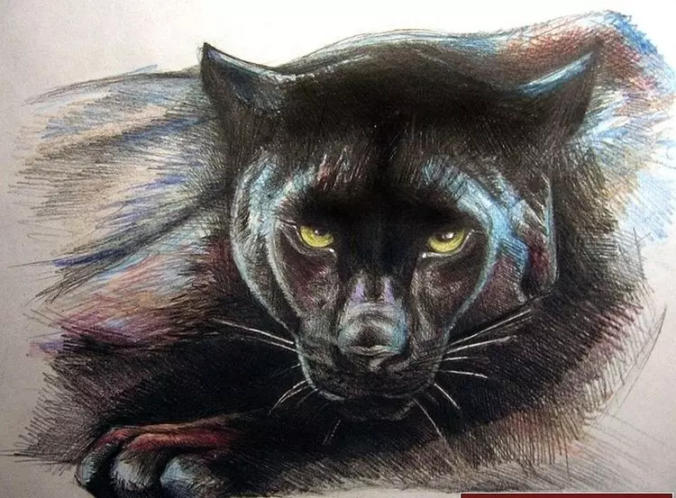 Panther tatuering