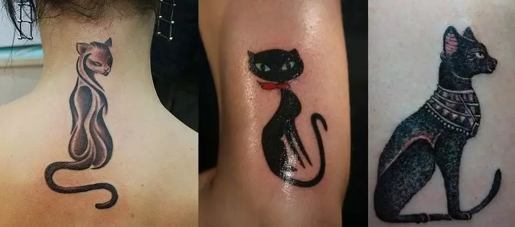 Cat sketch tattoo