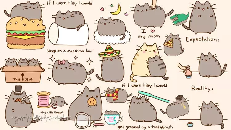 Mačka Pusheen: obrázky