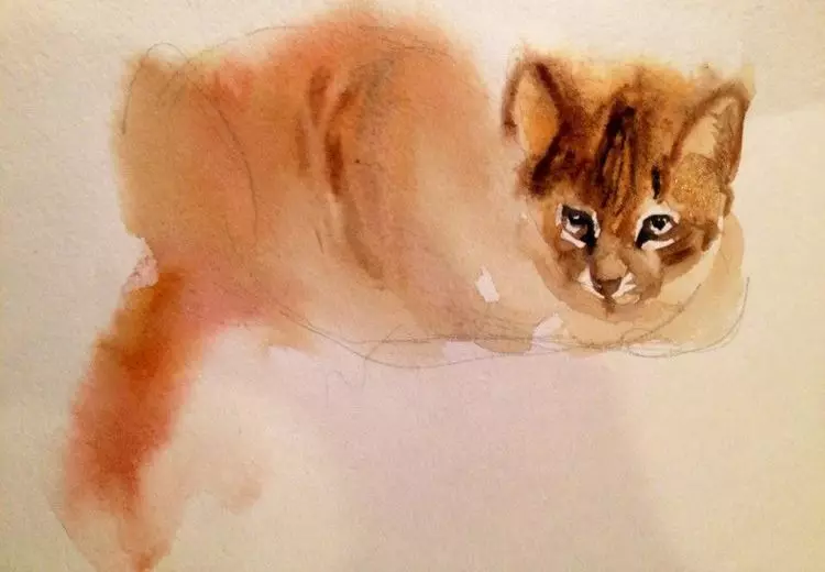 Zeichnung einer Katze in Aquarell