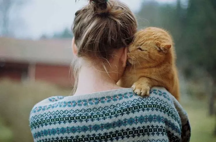 Bác sĩ tâm lý động vật học với một con mèo