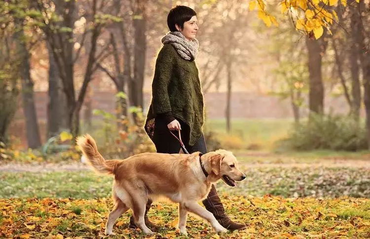 Woman walking retriever