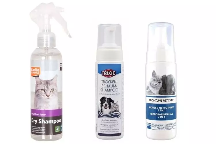 Suchy szampon dla kotów