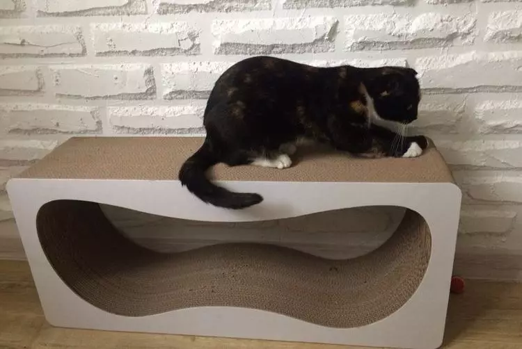 A macska élesíti a karmait egy karton kaparóoszlopon