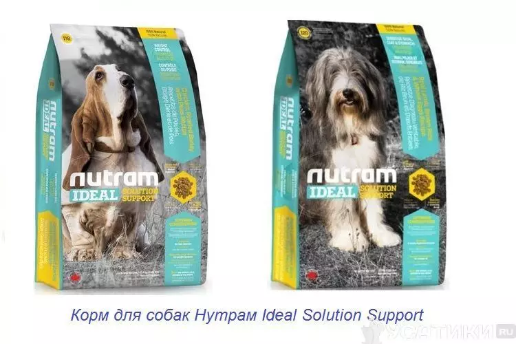 Nutram Hundefutter