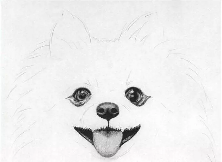 Crtanje psećeg lica