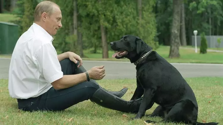 Vladimir Pútín forseti með hundinn sinn