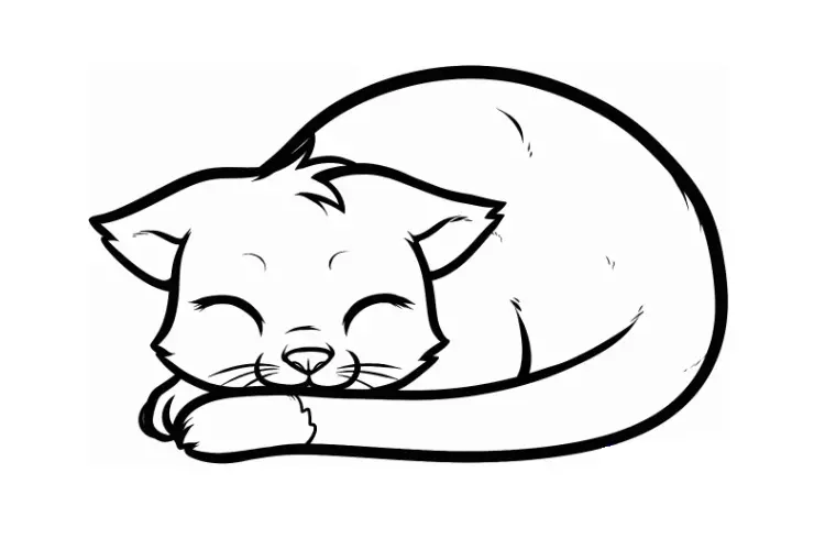 Drawing of a sleeping cat