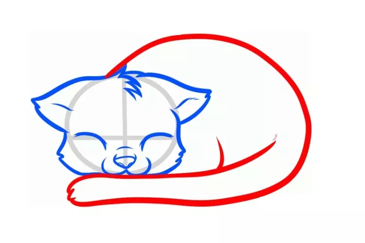 Drawing of a sleeping cat